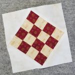 Sisterhood Sampler Block 17